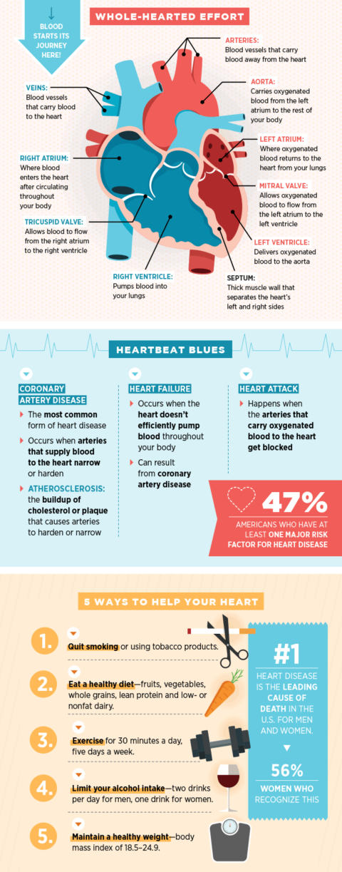 Your Hard Working Heart - FMOL Health